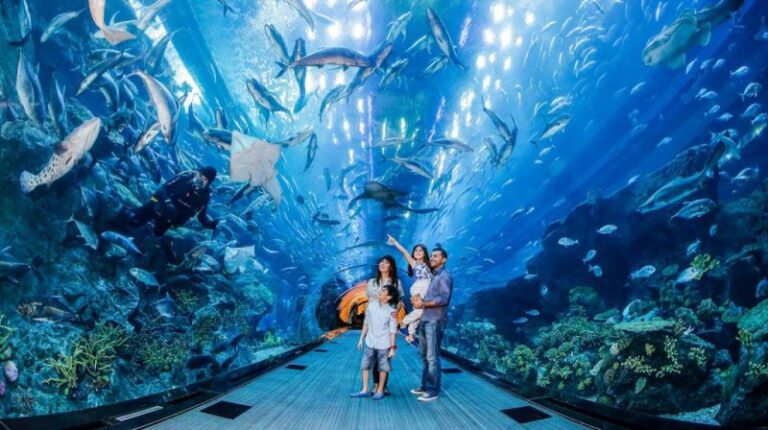 Exploring the Future Visions of the UAE - From Dubai's Ambitions to ...